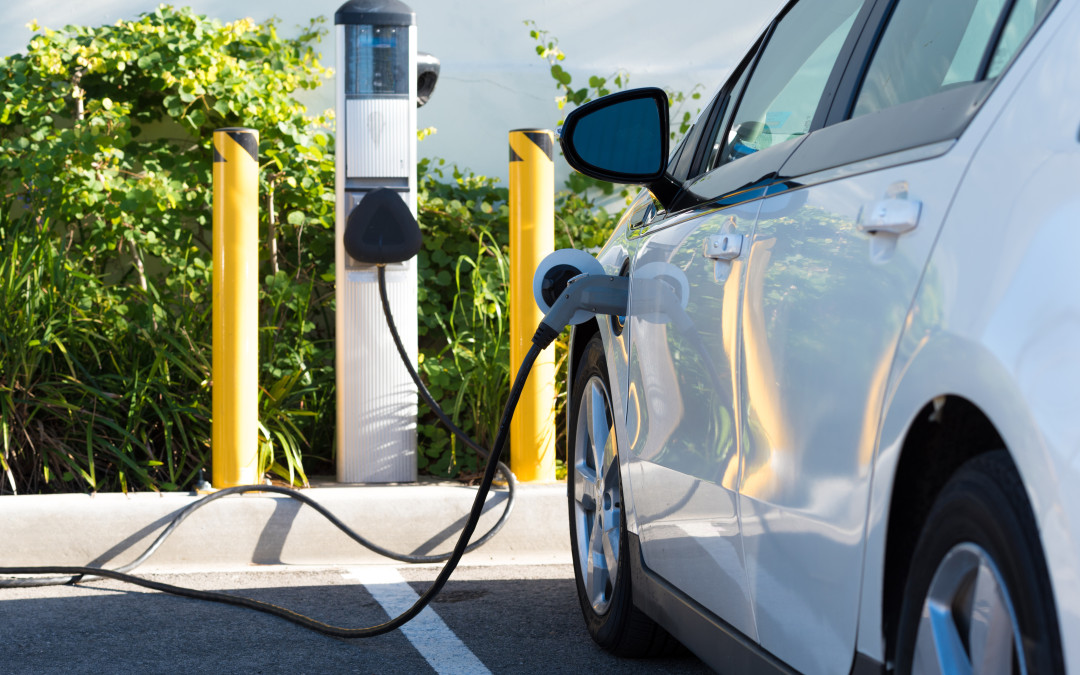Financial discipline key to electric vehicle manufacturing success ...