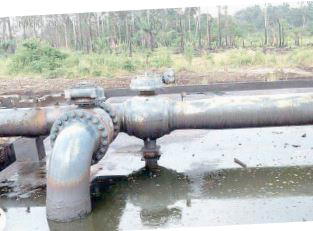 Ogoni demands concession of OML 11, assigning of bloc to indigenous ...
