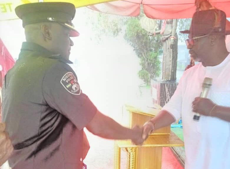 Delta: DPO bags council award for combating crimes - Vanguard News