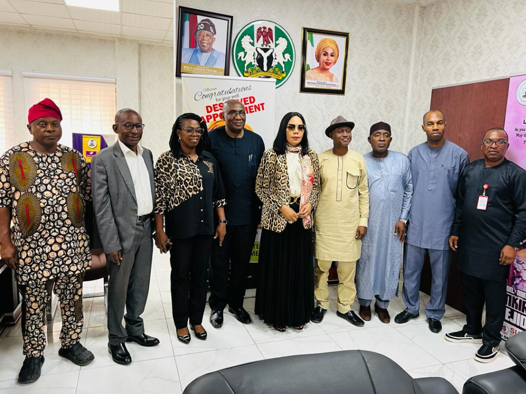 Institute seeks FG's collaboration to combat quackery in power sector ...