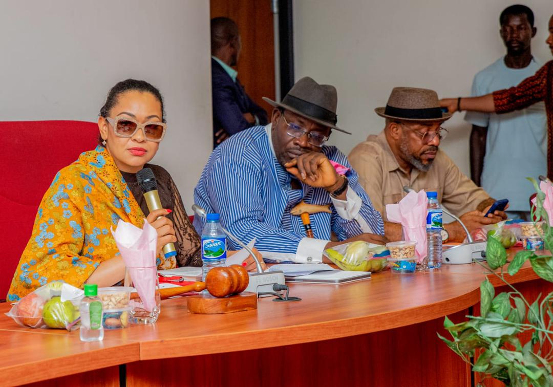 Provide 1000 annual internships for Nigerian students, Senator Natasha ...