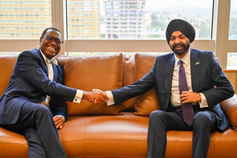 World Bank, AfDB to offer electricity to 300m Africans - Vanguard News
