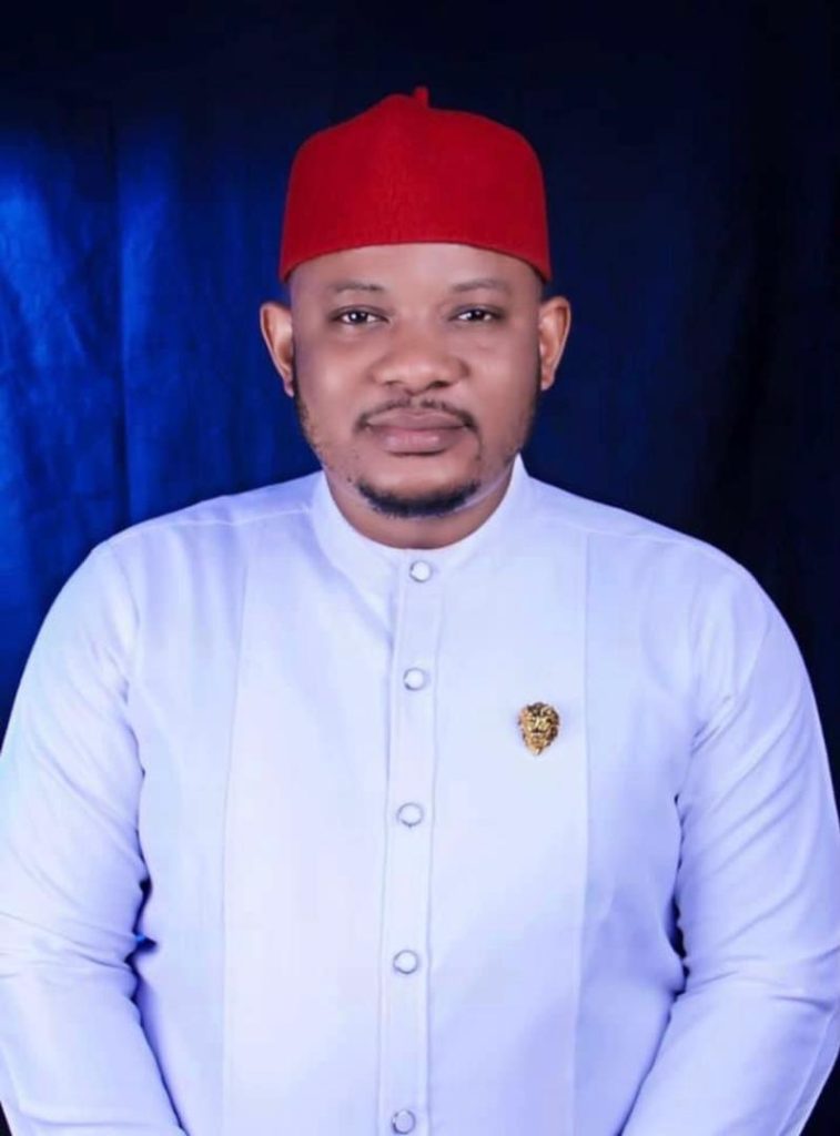 Why I'm contesting Aniocha North Council chairman's seat - Ebenezer