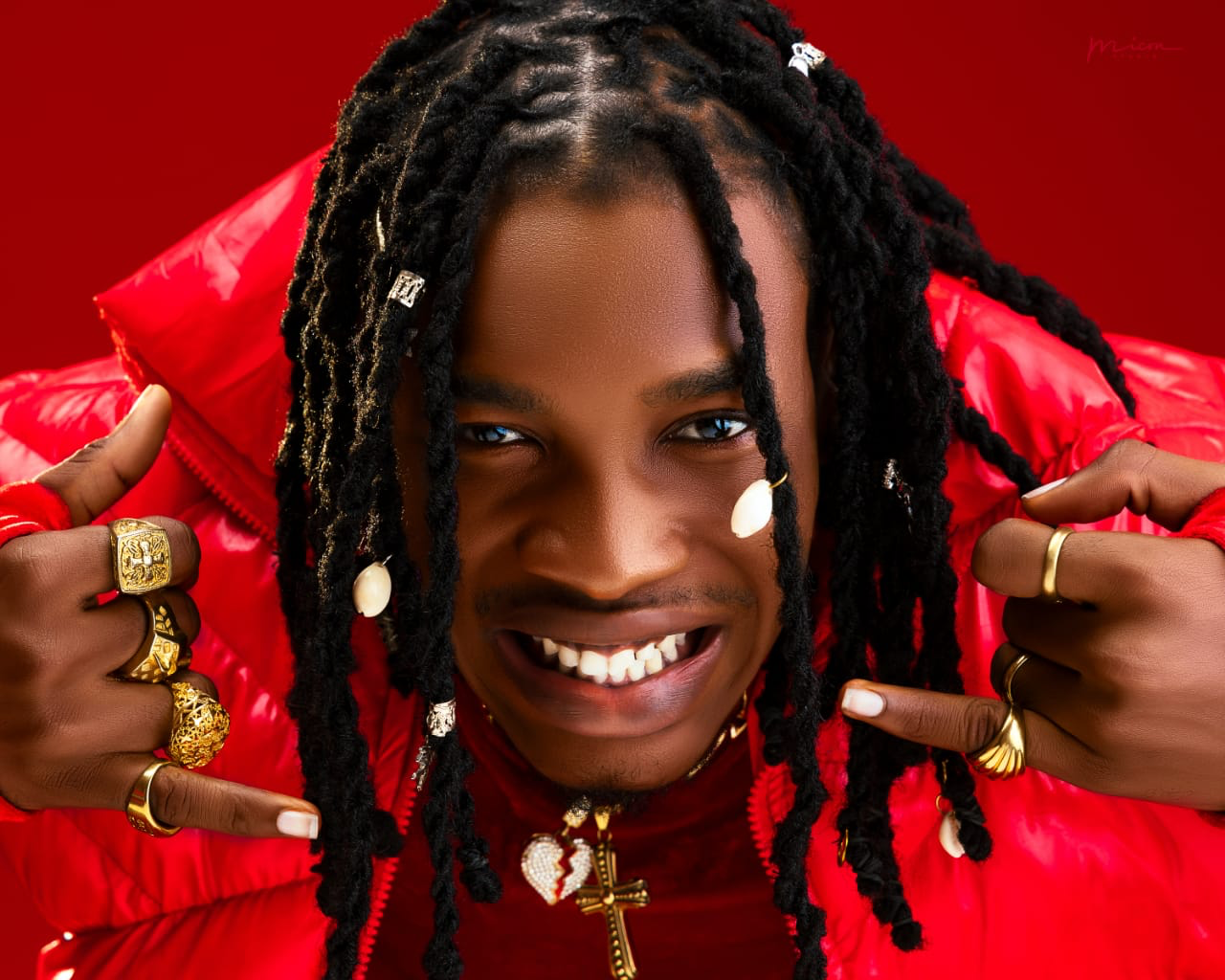 Nigerian artist, Temmy Dreddz joins new record label - Vanguard News