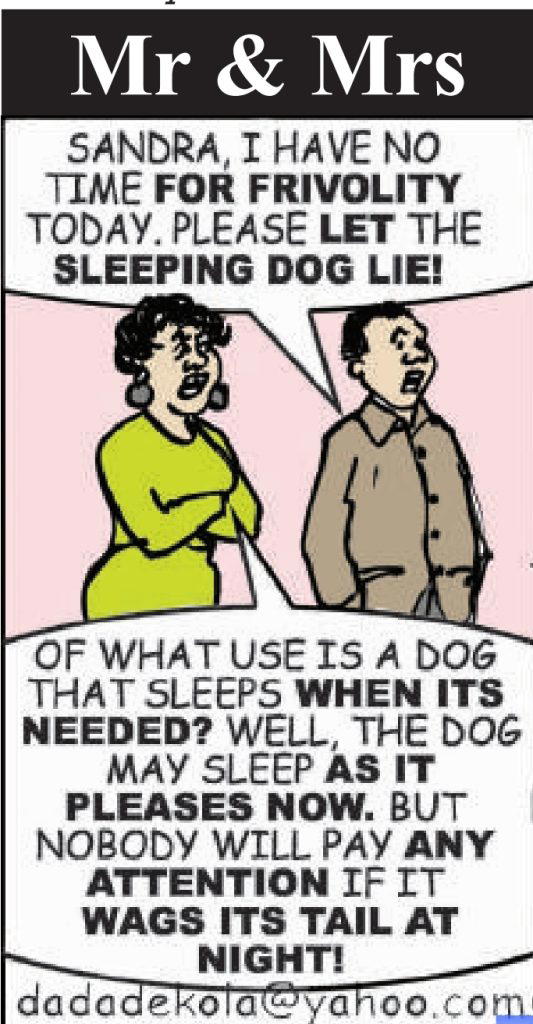 Mr & Mrs cartoon: Trouble in dza odza room - Vanguard News