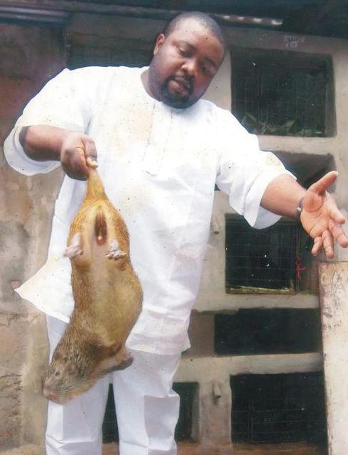 How to maintain quality grasscutter farming - Vanguard News