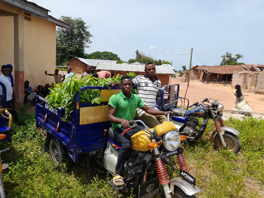 World Environment Day: Firm to plant 200m trees in 6 continents by 2030 ...