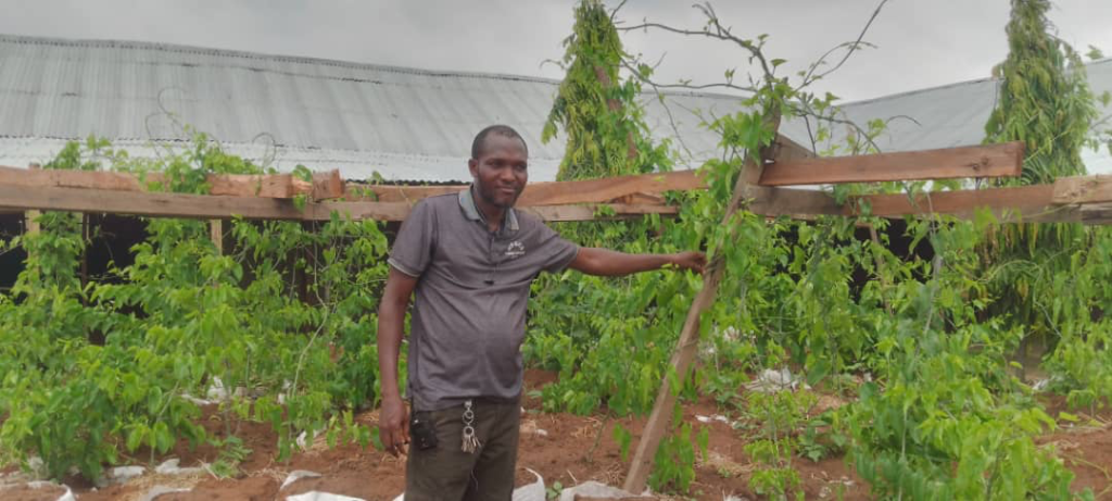 Food Security: Farmers' productivity jeopardized by poor govt policies ...