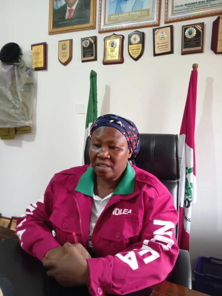 NDLEA arrests 100 suspects, seizes 290kg of illicit drugs in C’River ...