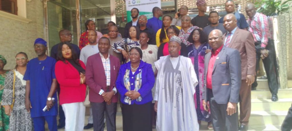 FG, NDDC, IFAD accelerate LIFE-ND project implementation - Vanguard News