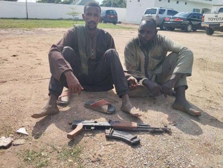 Troops apprehend 10 suspected kidnappers linked to terrorists in Taraba - Vanguard News