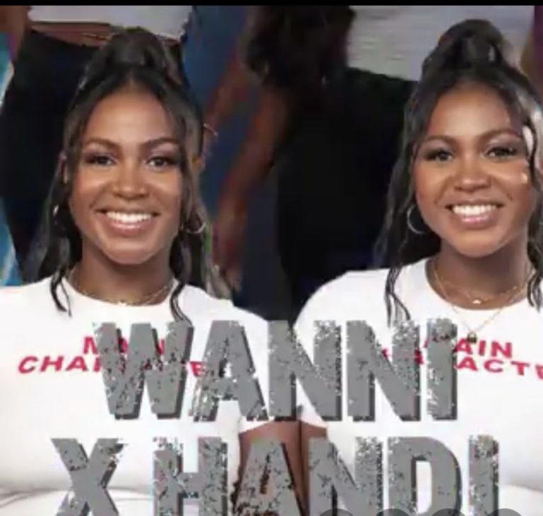 Photos: Wanni x Handi, Mbadiwe make history as first sets of twins in BBNaija house - Vanguard News