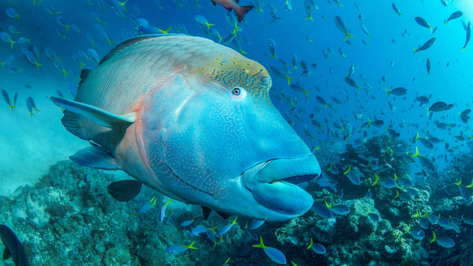 10 wonders of the world and countries to find them - Vanguard News