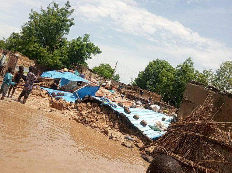 Borno Senator, Reps member, others donates relief items, cash to ...