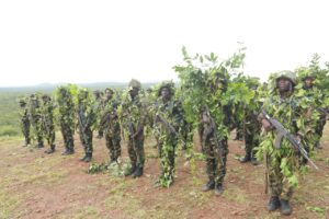 Our loyalty to Nigeria must be unquestionable – NAF - Vanguard News