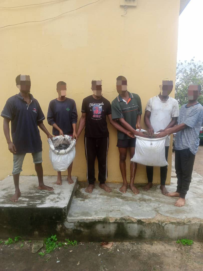 A'Ibom: Police raid hideout, apprehend six suspected drug dealers ...