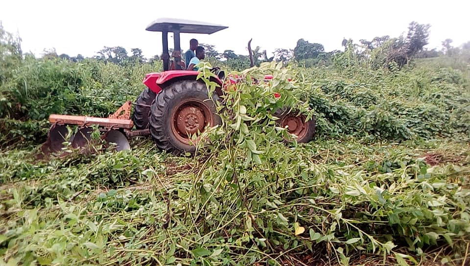 WaleAgro Services making farmland available and affordable to Nigerians ...