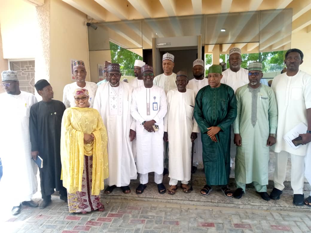 Flood: NEDC engages NSE to rebuild collapsed roads, bridges - Vanguard News