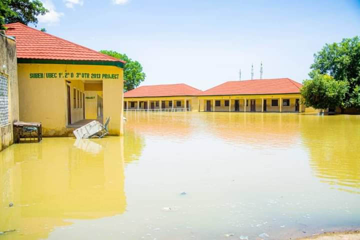 Dangerous animals on rampage as flood ravages zoo, houses in Maiduguri ...