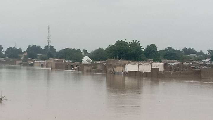 Tinubu expresses concern over Maiduguri flood - Vanguard News