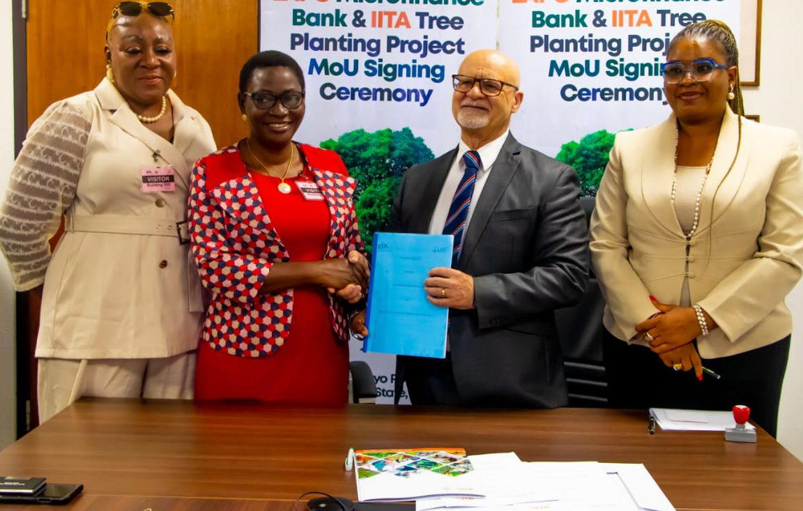 Climate Change: LAPO partners IITA for tree planting Initiative ...