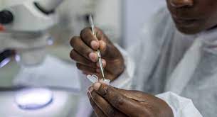 Egypt joins list of countries certified by WHO as malaria-free [See ...