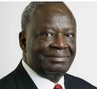 Africa must leapfrog dev through its youth population - Buhari's ex ...