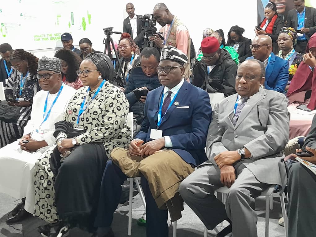 COP29: Nigeria increasingly vulnerable to impacts of climate change - Momoh