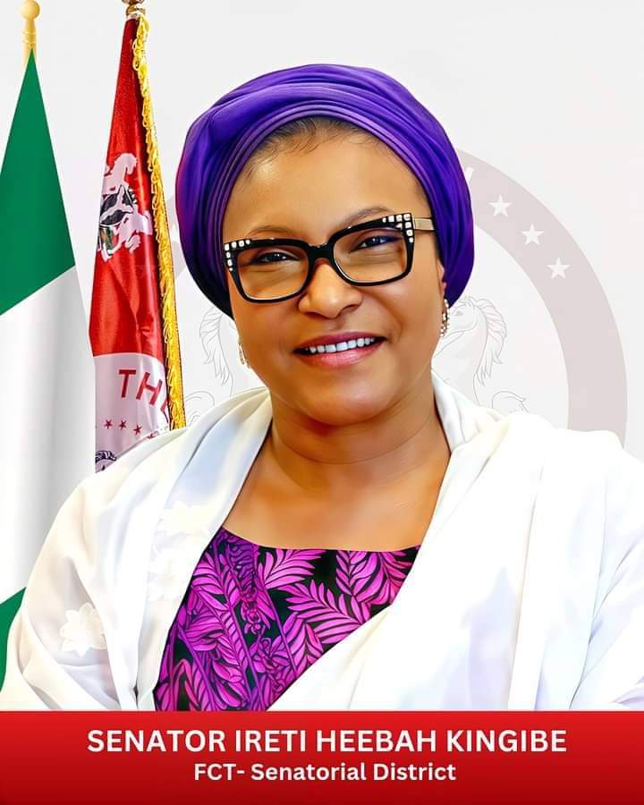 Senator Ireti Kingibe in the eye of history - Vanguard News