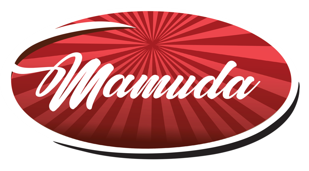 Vice President Kashim Shettima Inaugurates Mamuda Group’s New Factories ...