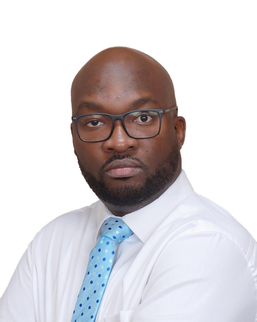Demand forecasting and inventory optimization in a volatile market ...