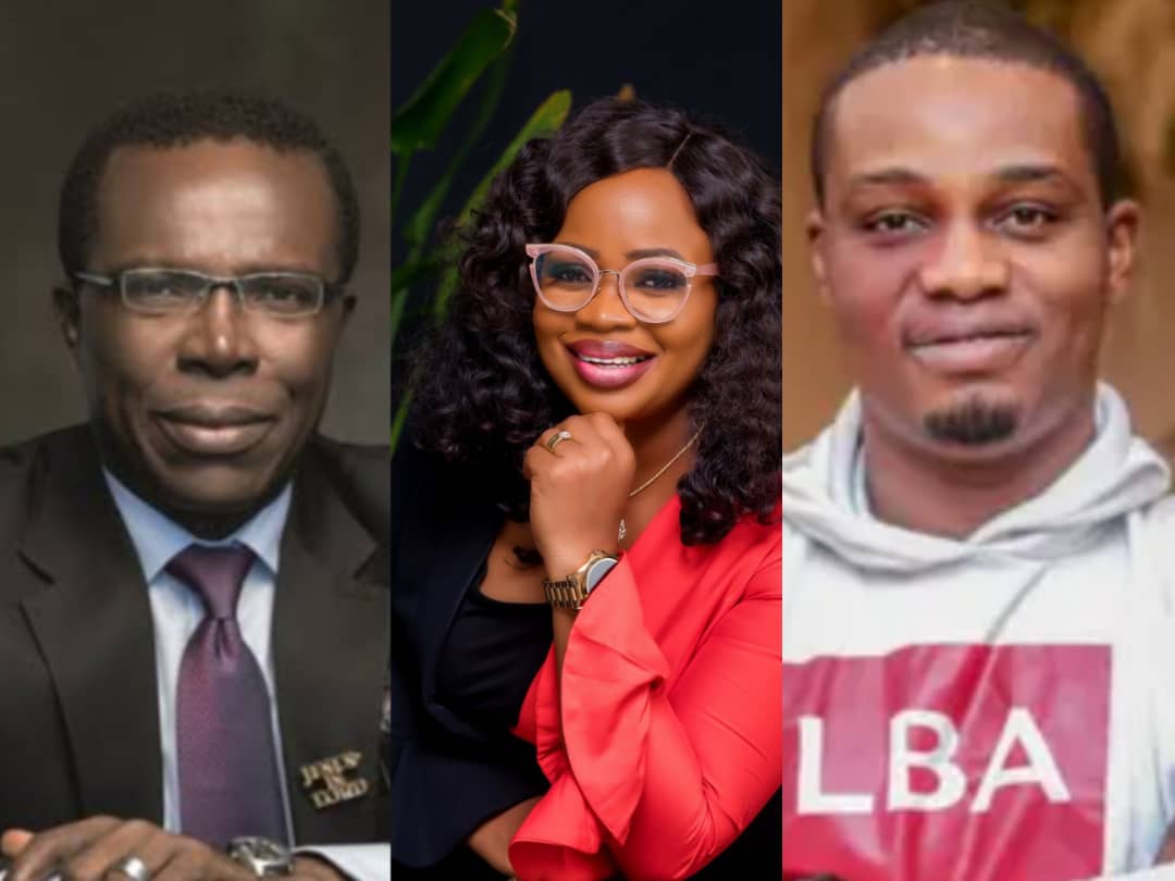 Maduka, Solesi, Adesakin others in 2025 impact makers list - Vanguard News