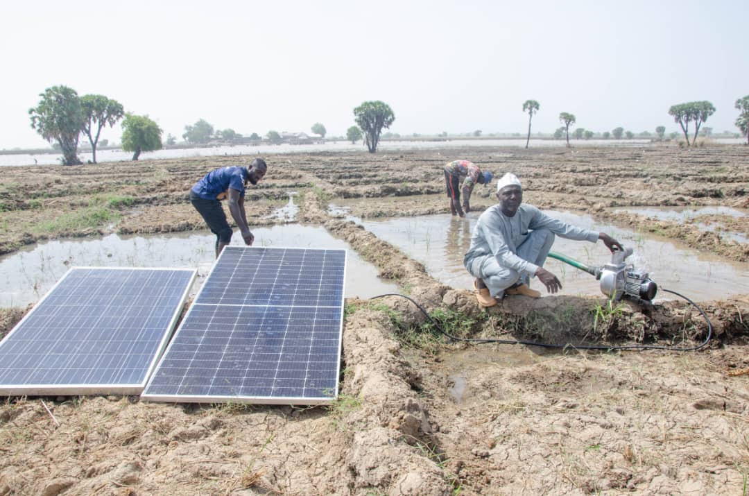 Niger farmers get solar pumps, techniques for all-year-round farming ...