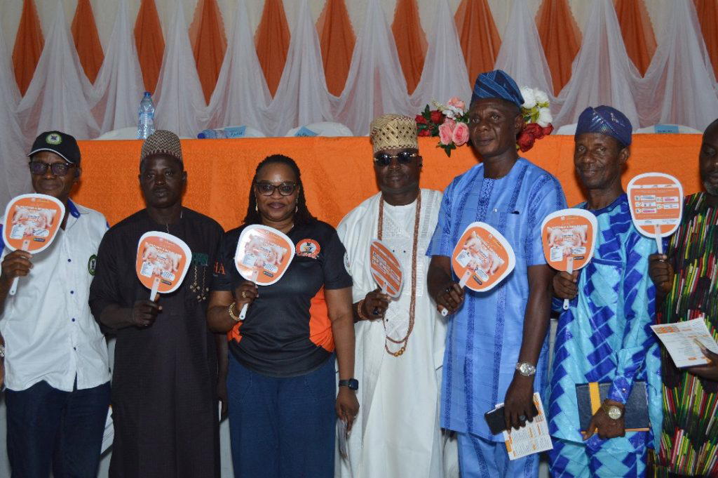 Universal Healthcare: LASG flags off 60-day Ilera Eko roadshow in Badagry - Vanguard News