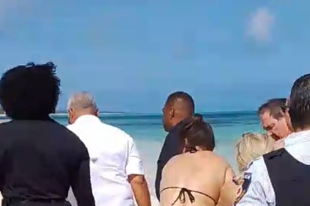 Shark bites woman’s hands off after she tried to take photo of it ...