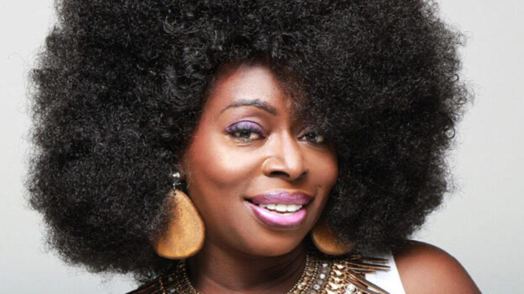 Singer Angie Stone dies in car accident - Vanguard News