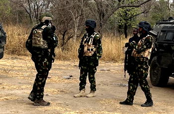 Punannie Annie: The viral sensation redefining social media humor