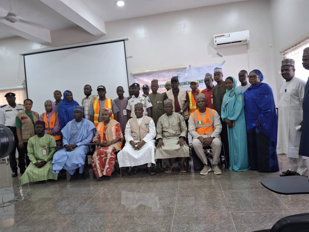 DG NEMA unveils 2025 preparedness, response campaign to mitigate ...