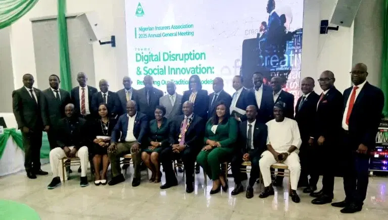 Nigerian insurance industry written premium hits N1.5trn in 2024 - NIA ...