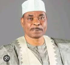 Super cop Adamu brings gravitas to Nasarawa’s 2027 race - Vanguard News