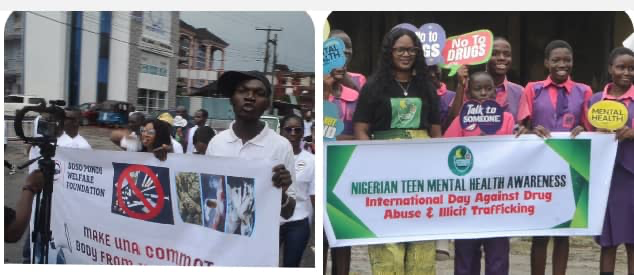 NGO collaborates with NDLEA on campaign against drug abuse - Vanguard News