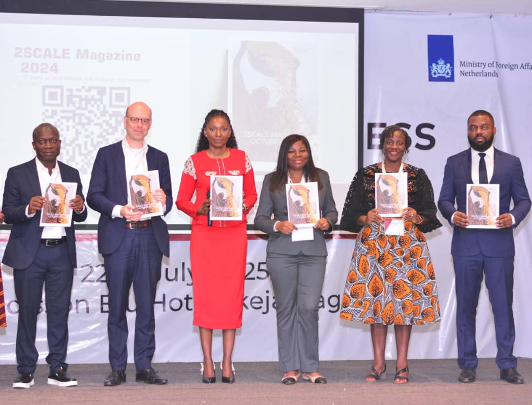 Food Insecurity: Netherlands urges Nigeria to professionalise ...