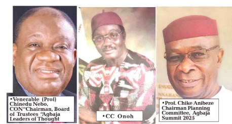 Honours for Onyeama, Onoh, Chinze, as Agbaja people rekindle common ...