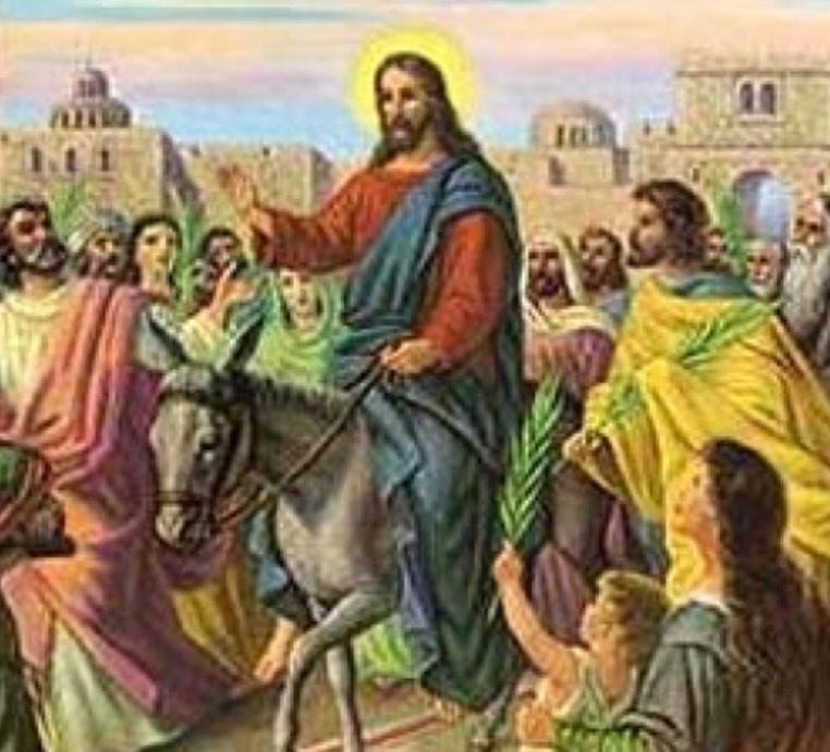 Palm Sunday: He chose a donkey instead of a horse, by Stephanie Shaakaa ...