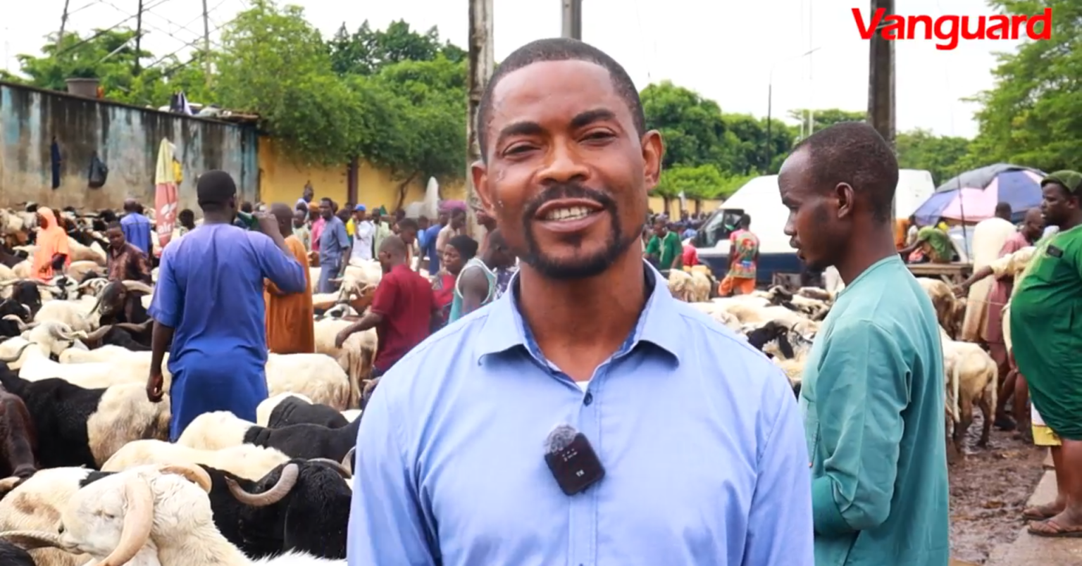 Sallah: Nigerians groan as cost of ram hits N800k, cow N3.2m - Vanguard ...
